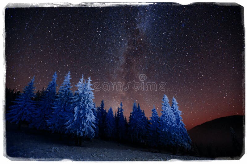 Magic Tree in Starry Winter Night - Vintage Effect Stock Illustration ...