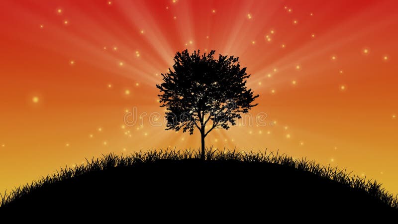 Silhouette of Tree on a Calm Water Stock Video - Video of planet ...