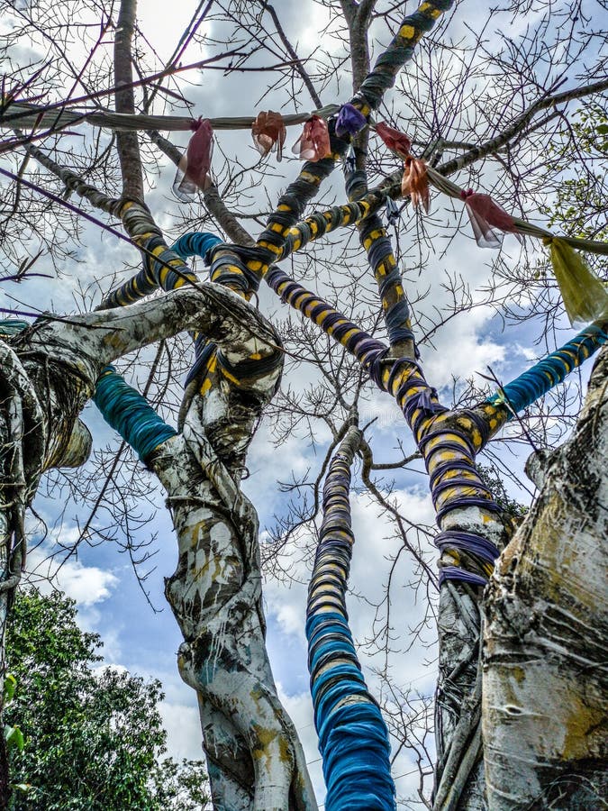 Magic Tree Whose Branches are Surrounded by Colorful Fabrics in Nan ...