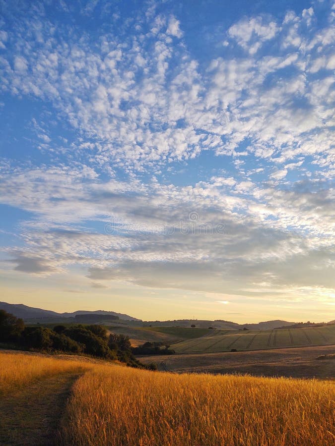 Magic Trees and Paths in the Forest. Stock Photo - Image of mountain ...