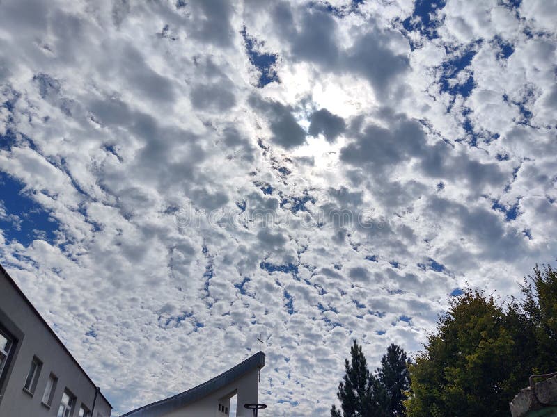 Magic Trees and Paths in the Forest and Meadow. Stock Photo - Image of ...