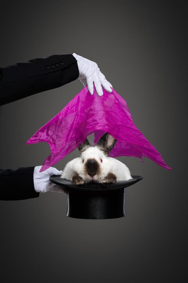 Rabbit Trick stock image. Image of magical, beautiful - 12967165