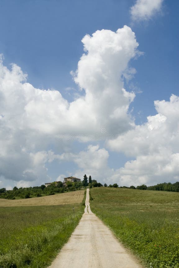 Magic Tuscany - Toscana stock photo. Image of plants, spring - 5501530