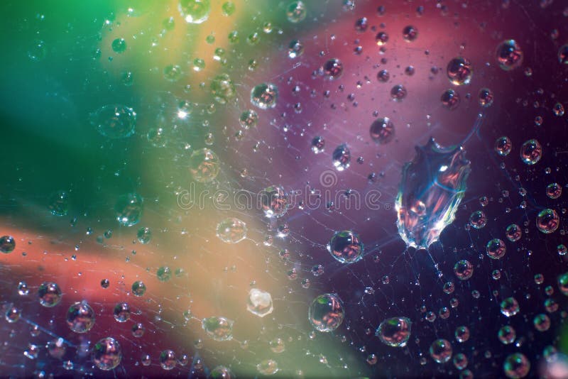 Magic Web with Water Droplets in the Microcosm Stock Photo - Image of ...