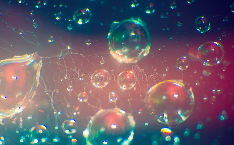 Magic Web with Water Droplets in the Microcosm Stock Image - Image of ...