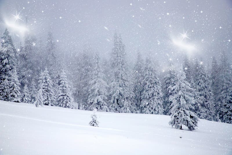 Magic Winter Landscape with Snowy Fir Trees Stock Image - Image of ...