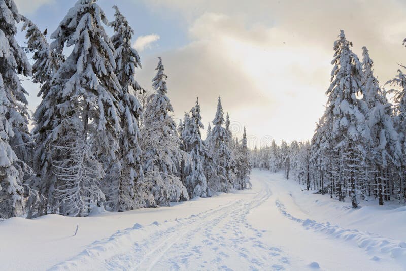 Magic of winter stock photo. Image of aeroplane, covered - 19294660