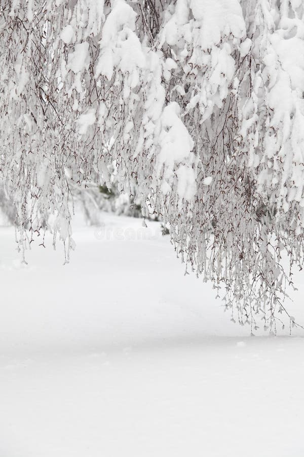 Magic of winter stock photo. Image of aeroplane, covered - 19294660