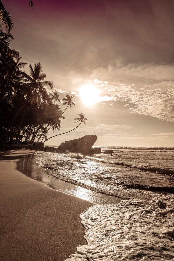 Magical Evening on the Ocean Stock Photo - Image of climate, night ...