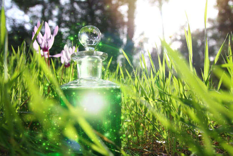 Magical Fairy Dust Potion in Bottle in the Forest. Stock Image - Image ...