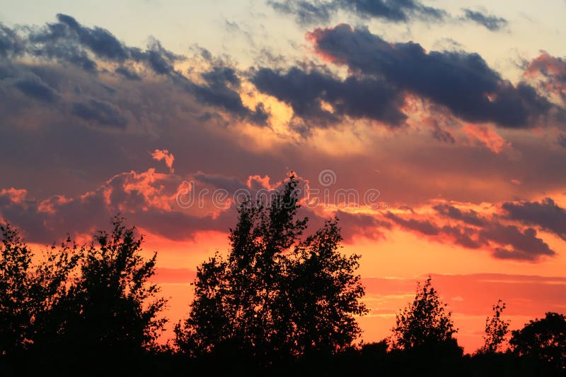 Magical High-contrast Shot of the Sunset. Stock Photo - Image of exotic ...