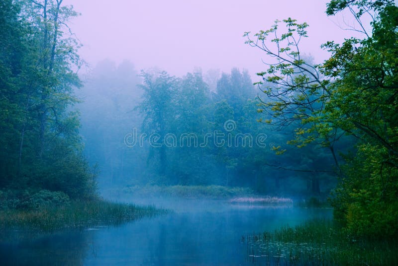 Magical morning stock image. Image of magical, mist, dusk - 2572087