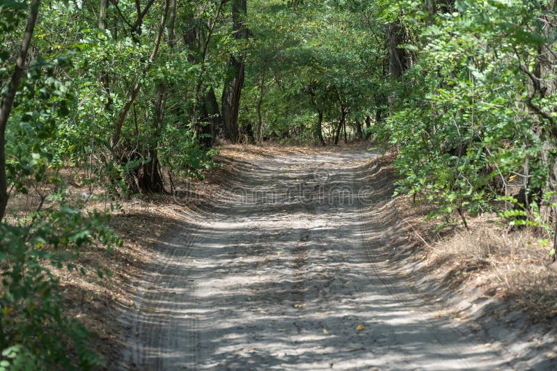 Magical Natural Arch and Footpath. Green Archway Shaped. Stock Image ...
