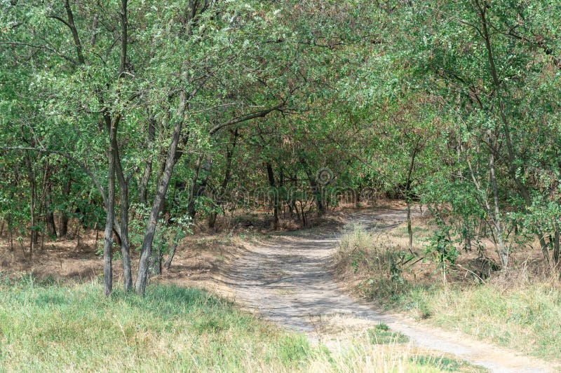 Magical Natural Arch and Footpath. Green Archway Shaped. Stock Photo ...