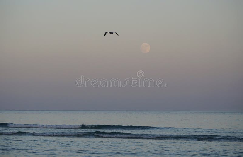 Magical Ocean. Moonrise Over the Ocean. Full Moon Evening Stock Photo ...