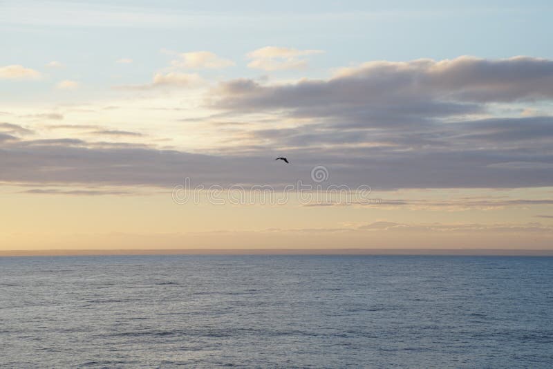 Magical Ocean. Sunrise Over the Atlantic. Morning. Waves of the Surf ...
