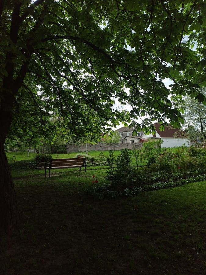 Magical park stock photo. Image of light, landscape - 104497704