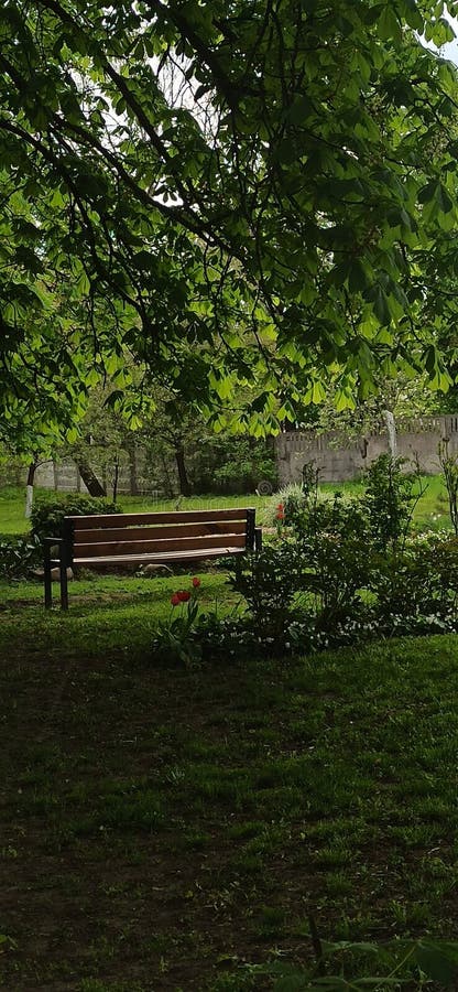 Magical Park and Bench Flowers Tree Stock Image - Image of magical ...