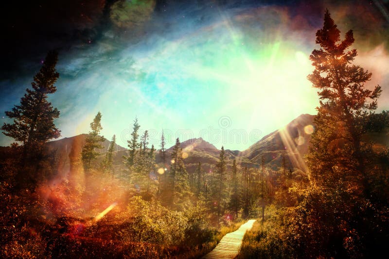 Magical path stock photo. Image of beautiful, forest - 36801600