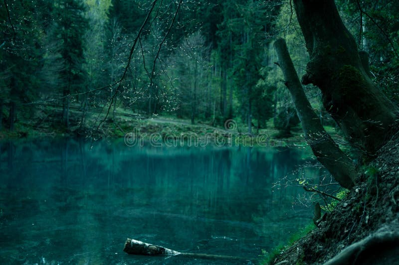 Magical pond stock image. Image of dark, spell, water - 92371209