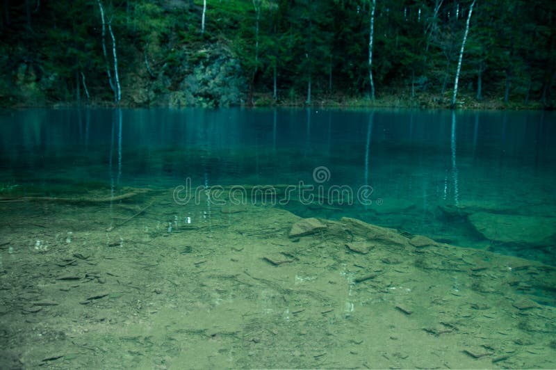 Magical pond stock image. Image of dark, spell, water - 92371209