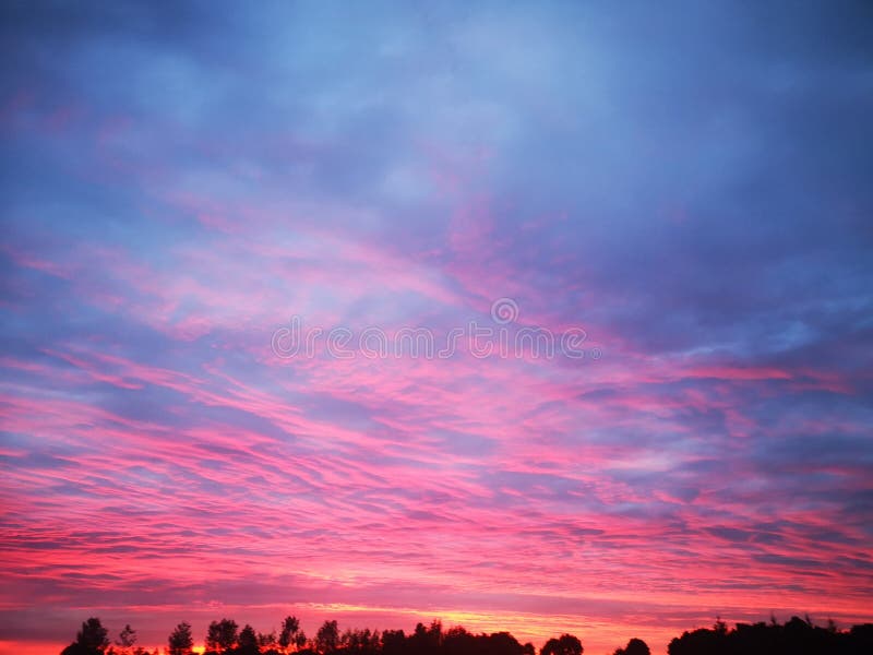 Purple Sunset in the Fields Stock Image - Image of fields, afterglow ...