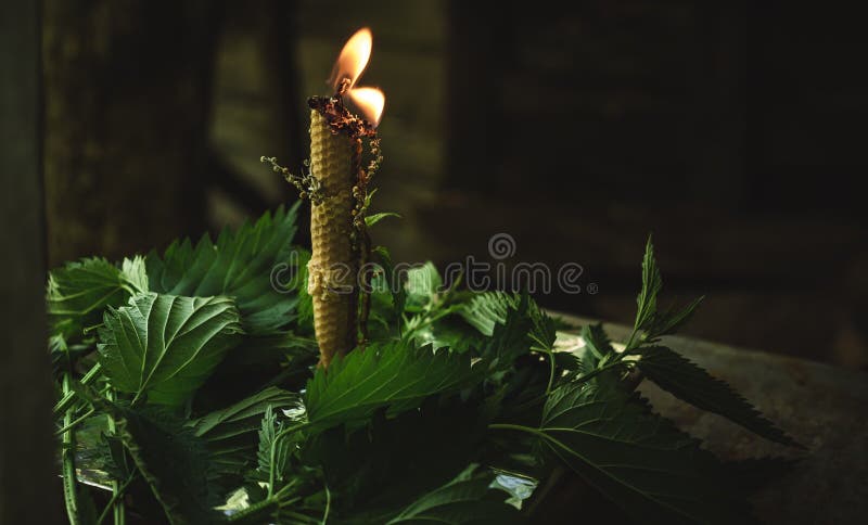Magical Stuff, Old Magic Concept, Nature Powers Stock Photo - Image of ...