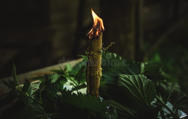 Magical Stuff, Old Magic Concept, Nature Powers Stock Image - Image of ...