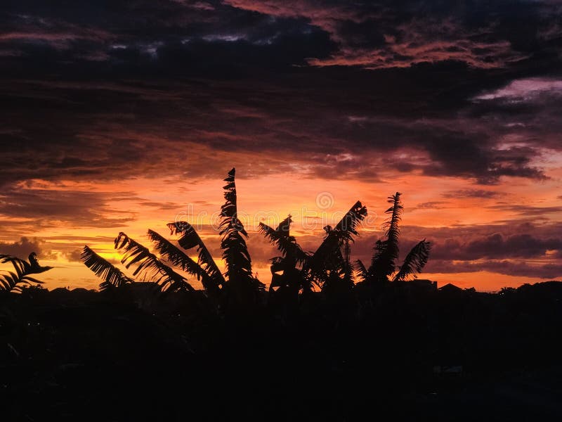 Magical Sunset stock image. Image of magical, bali, sunset - 222245387