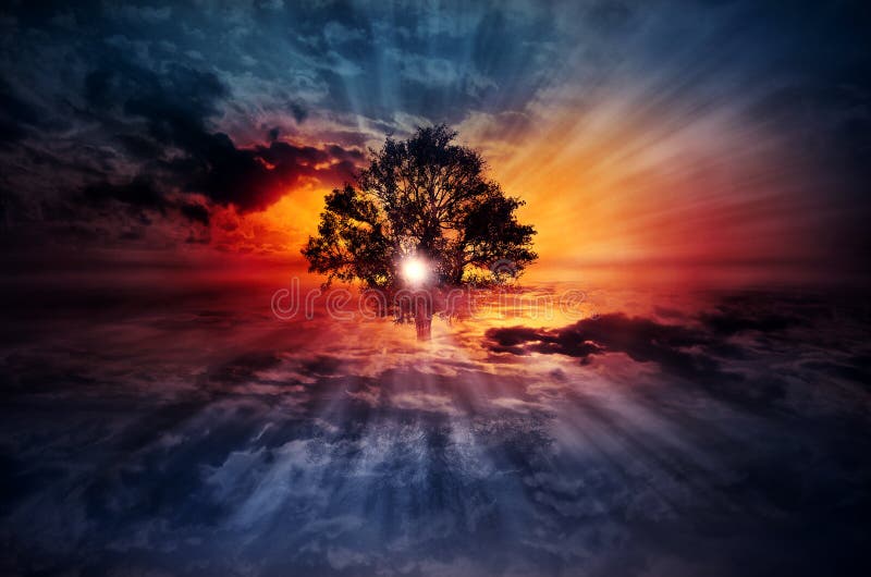 Magical Surreal Tree on Cloudscape Stock Photo - Image of sunrays ...
