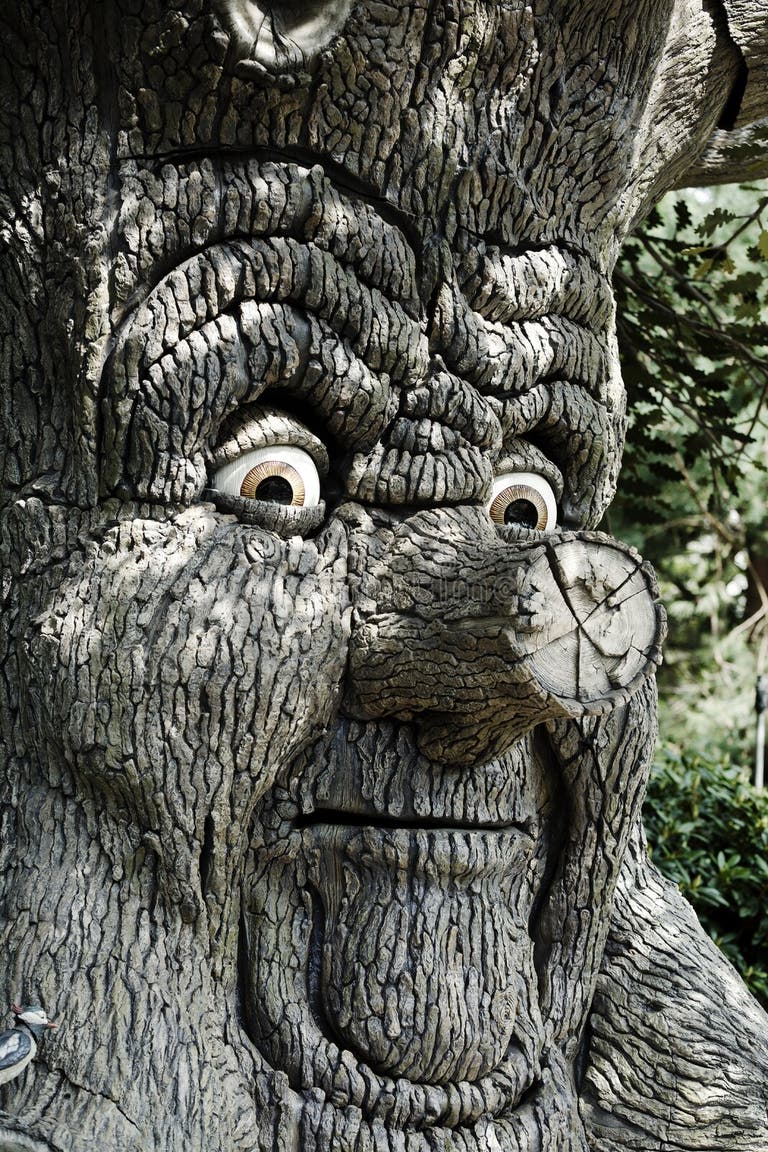 1,499 Funny Oak Tree Stock Photos - Free & Royalty-Free Stock Photos ...