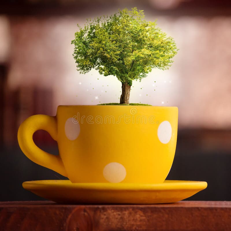 Magical tree in yellow cup stock image. Image of square - 67615717