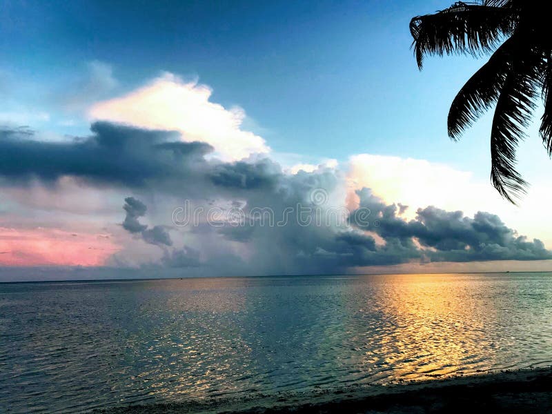 Magical tropic sunset stock image. Image of morning - 225185591