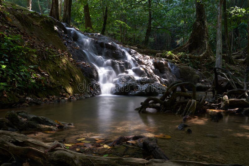 Magical Waterfall in Mysterious Forest, Long Exposure Stock Image ...