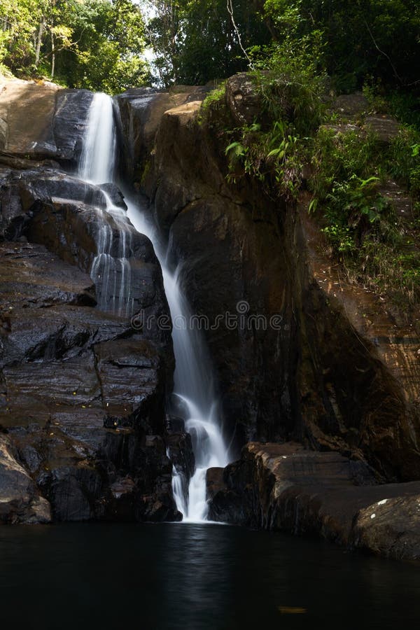 Magical Waterfall in Mysterious Forest, Long Exposure, Vertical Stock ...