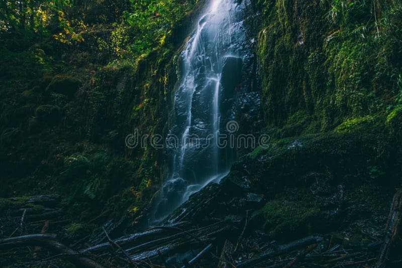 Will Snow Oregon 2026 Stock Photos - Free & Royalty-Free Stock Photos ...
