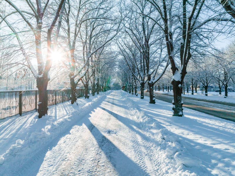 Magical Winter Season. Snow Path through Winter Forest on a Sunny Day ...