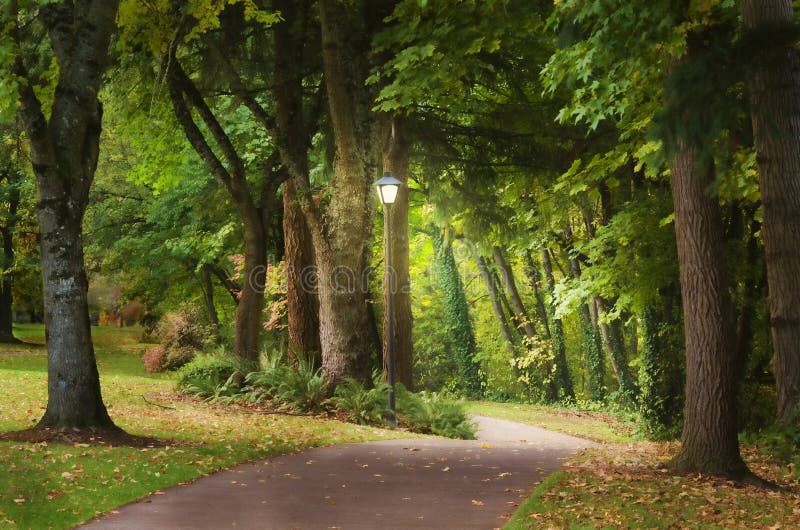 Magical woodland path stock photo. Image of glow, hope - 27394432