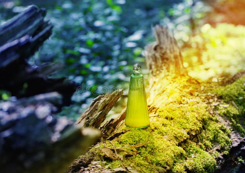 Magican Potion in Glass Bottle in Summer Forest Stock Image - Image of ...