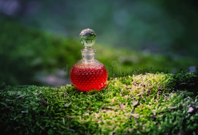 Magican Potion in Glass Bottle in Summer Forest Stock Image - Image of ...