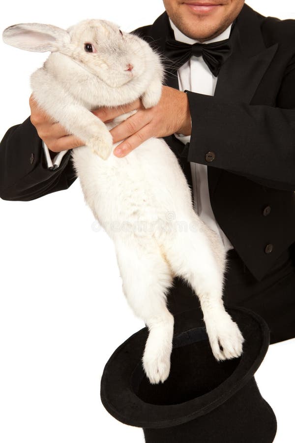 Magician Conjuring with a Rabbit Stock Photo - Image of cute, illusion ...