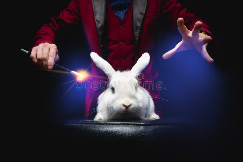 Rabbit Magic Trick In Top Hat Stock Image - Image of pair, close: 25657849