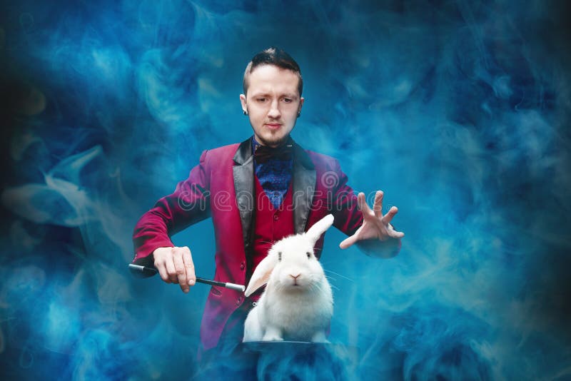 Magician Shows Trick with Disappearance White Rabbit in Suitcase Magic ...
