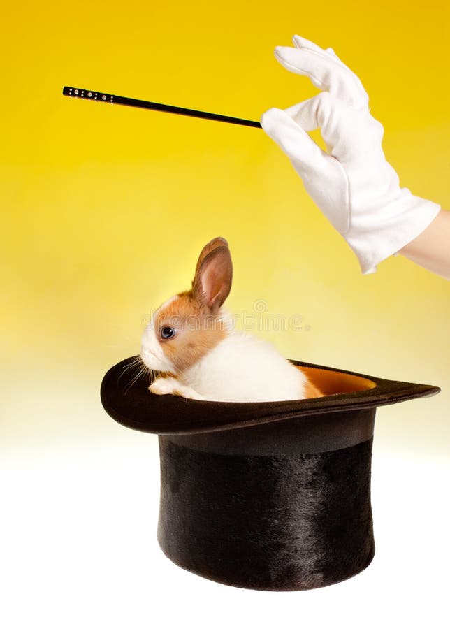 161 Chapeau De Magicien Avec Le Lapin Photos libres de droits et ...