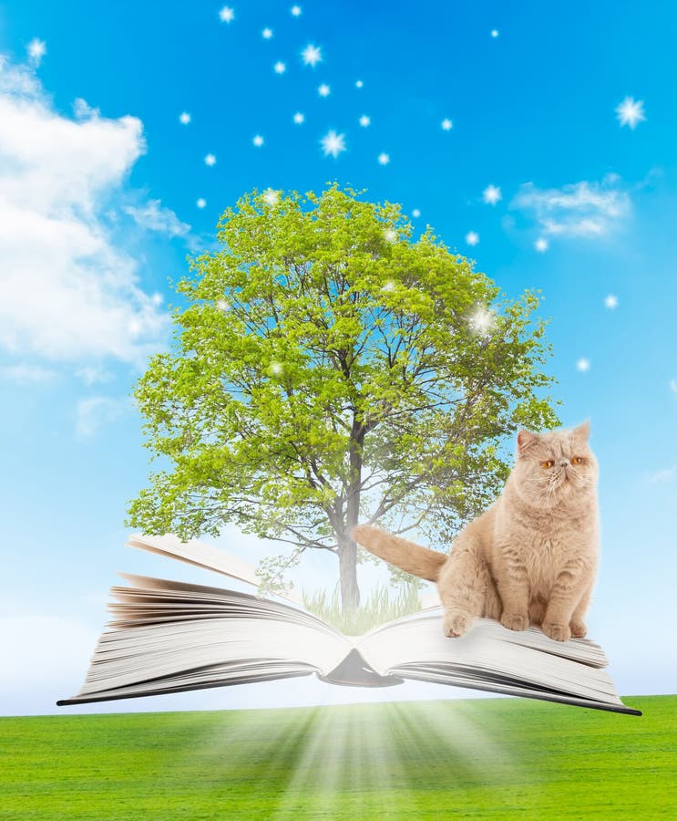 Magisch boek stock foto. Image of mystiek, blauw, fantasie - 23268948