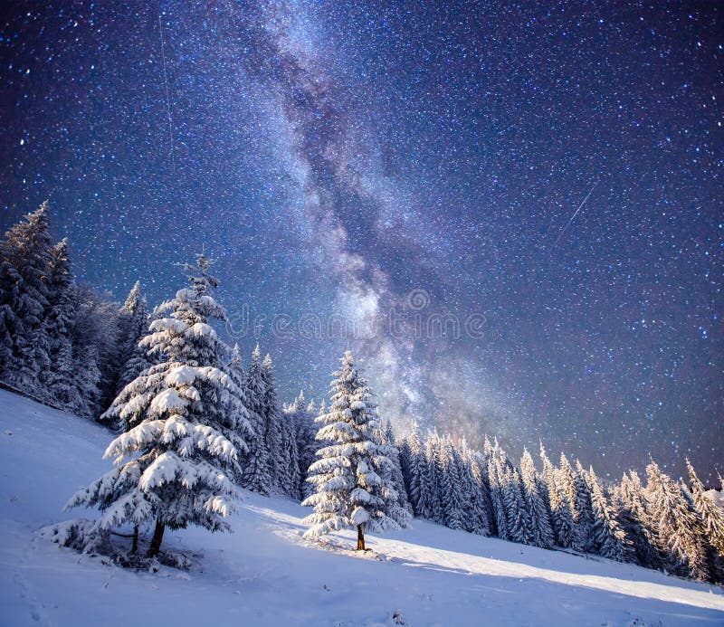 Magischer Baum in Der Sternenklaren Winternacht Stockfoto - Bild von ...