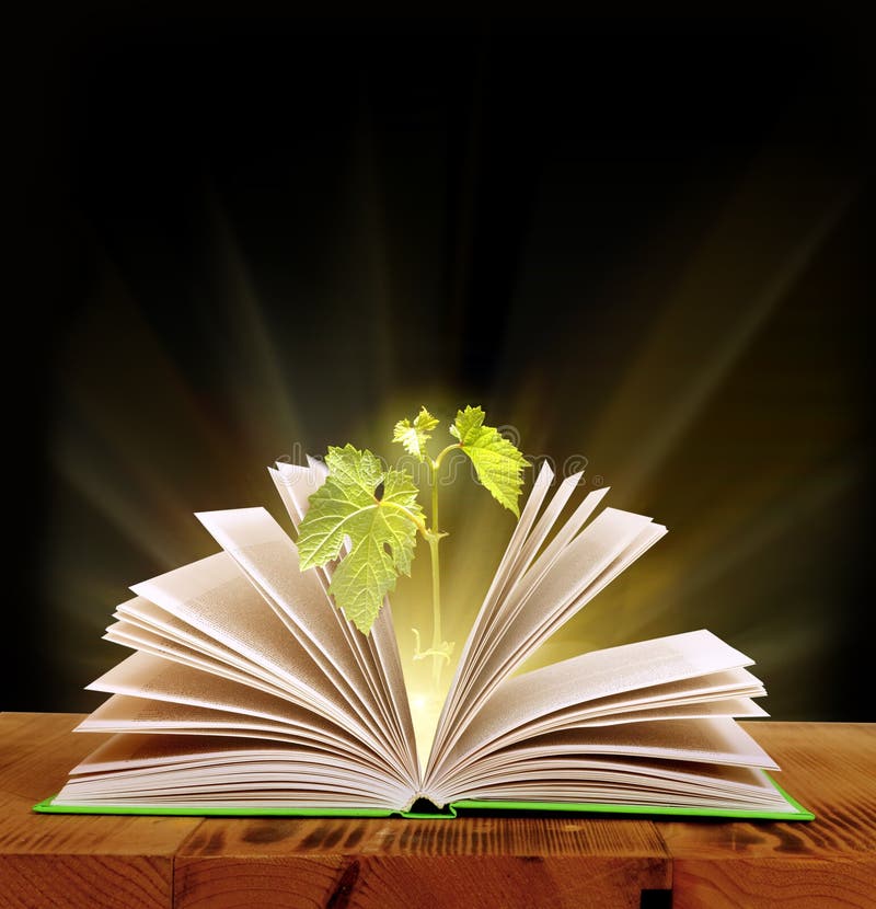 Magisches Buch stockfoto. Bild von buch, magisches - 31575720