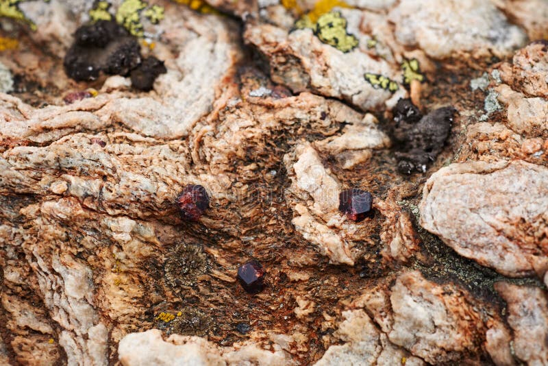 Magma Rock with Garnet Crystals Stock Image - Image of geology ...