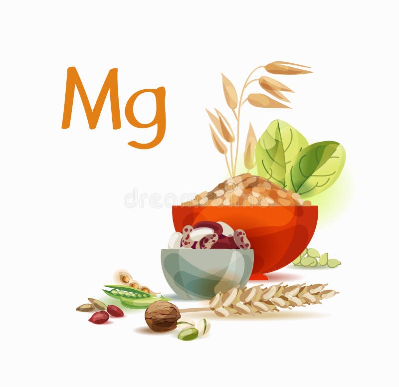 Magnesium i mat vektor illustrationer. Illustration av baljväxter ...