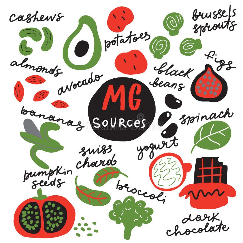 Magnesium Sources. Funny Hand Drawn Illustration of Foods Rich in ...